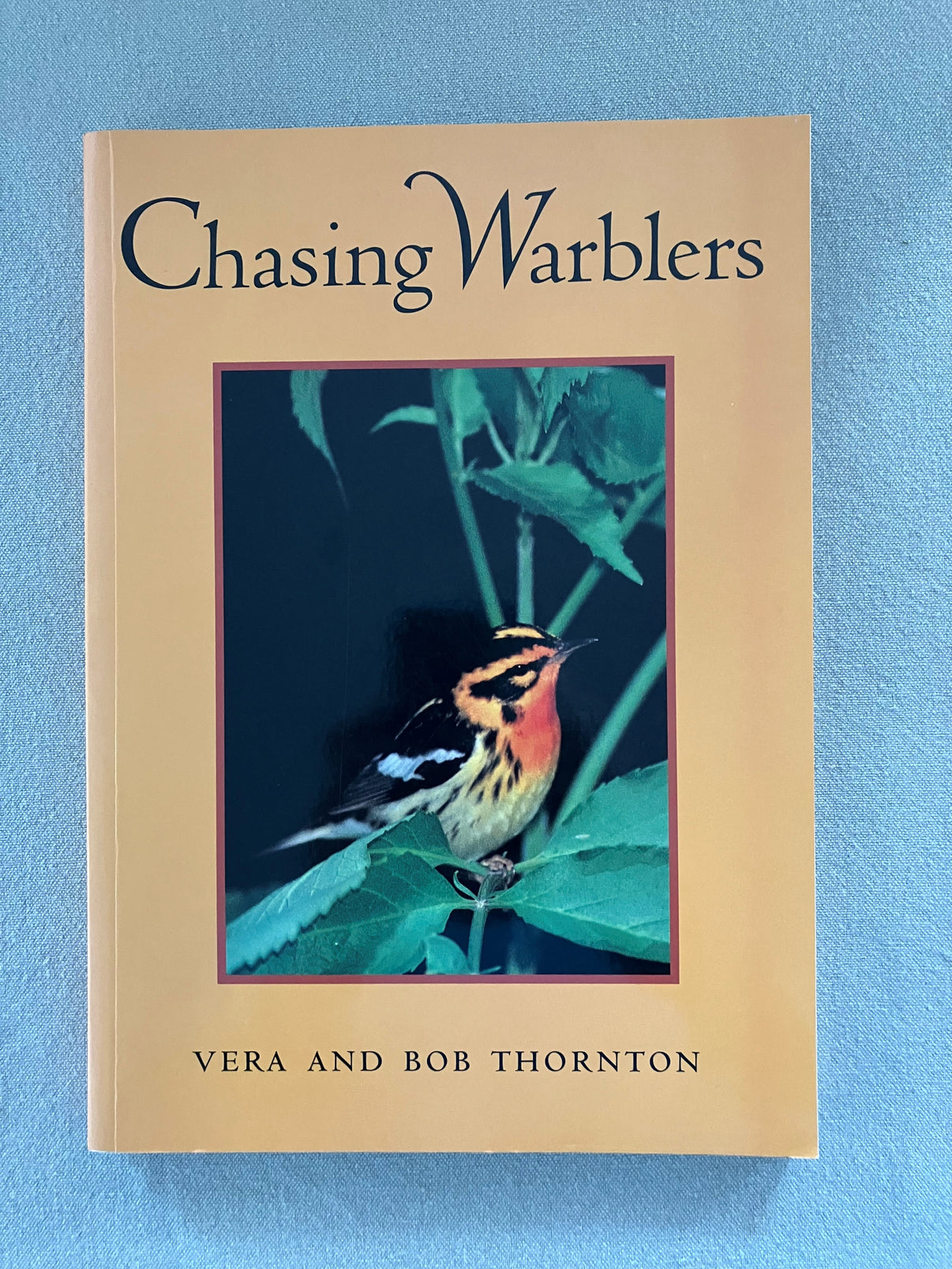 Chasing Warblers – Buteo Books