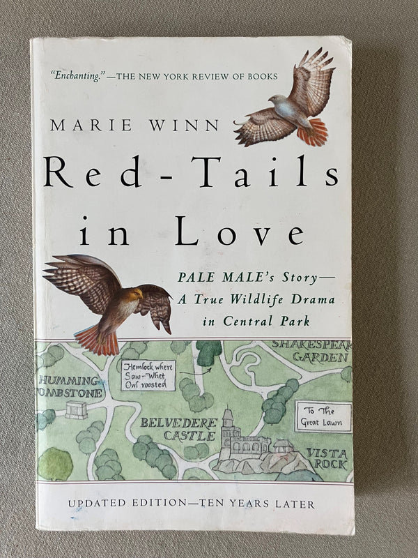 Red-Tails in Love: A True Wildlife Drama in Central Park – Buteo Books