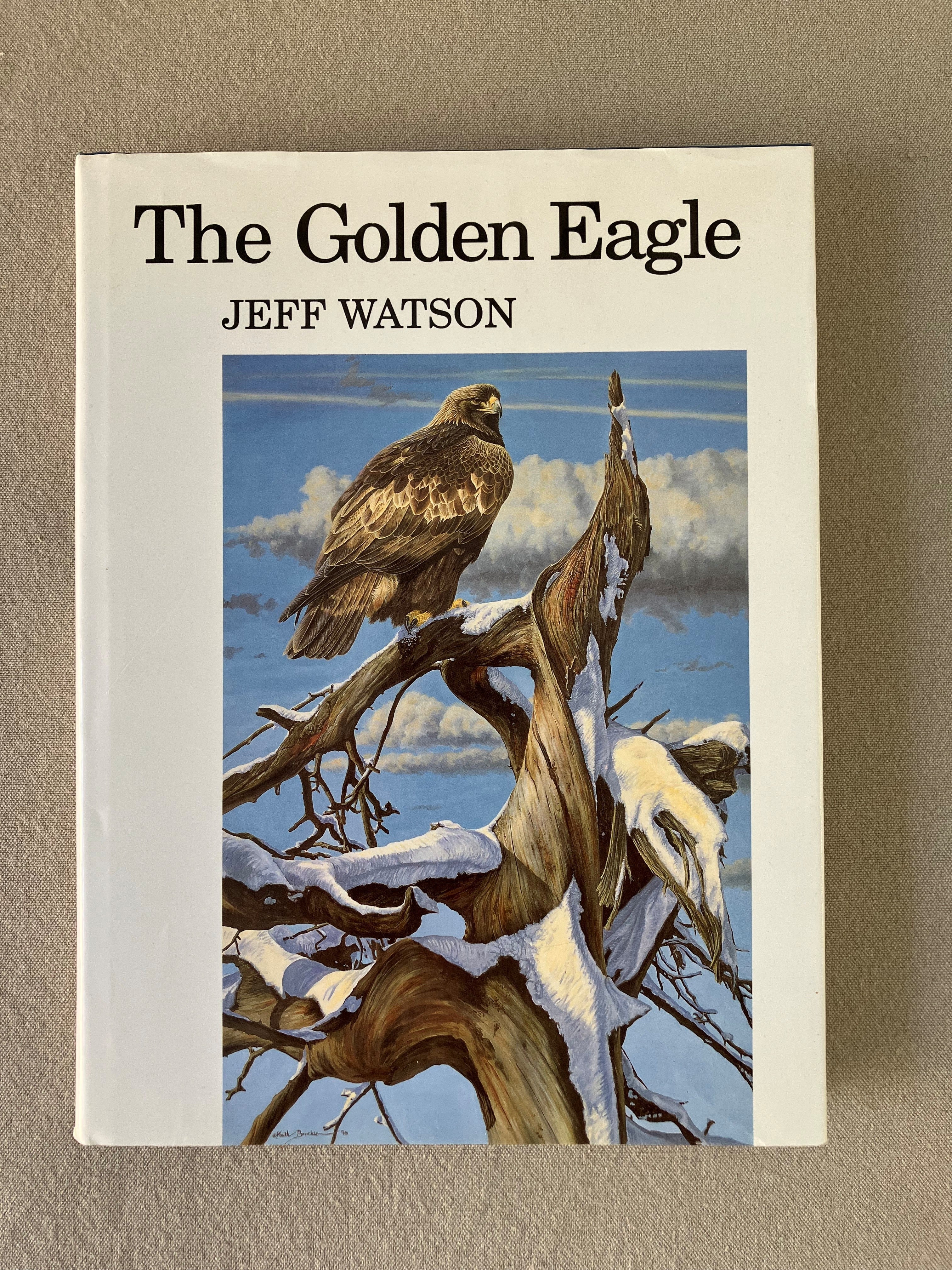 The Golden Eagle – Buteo Books