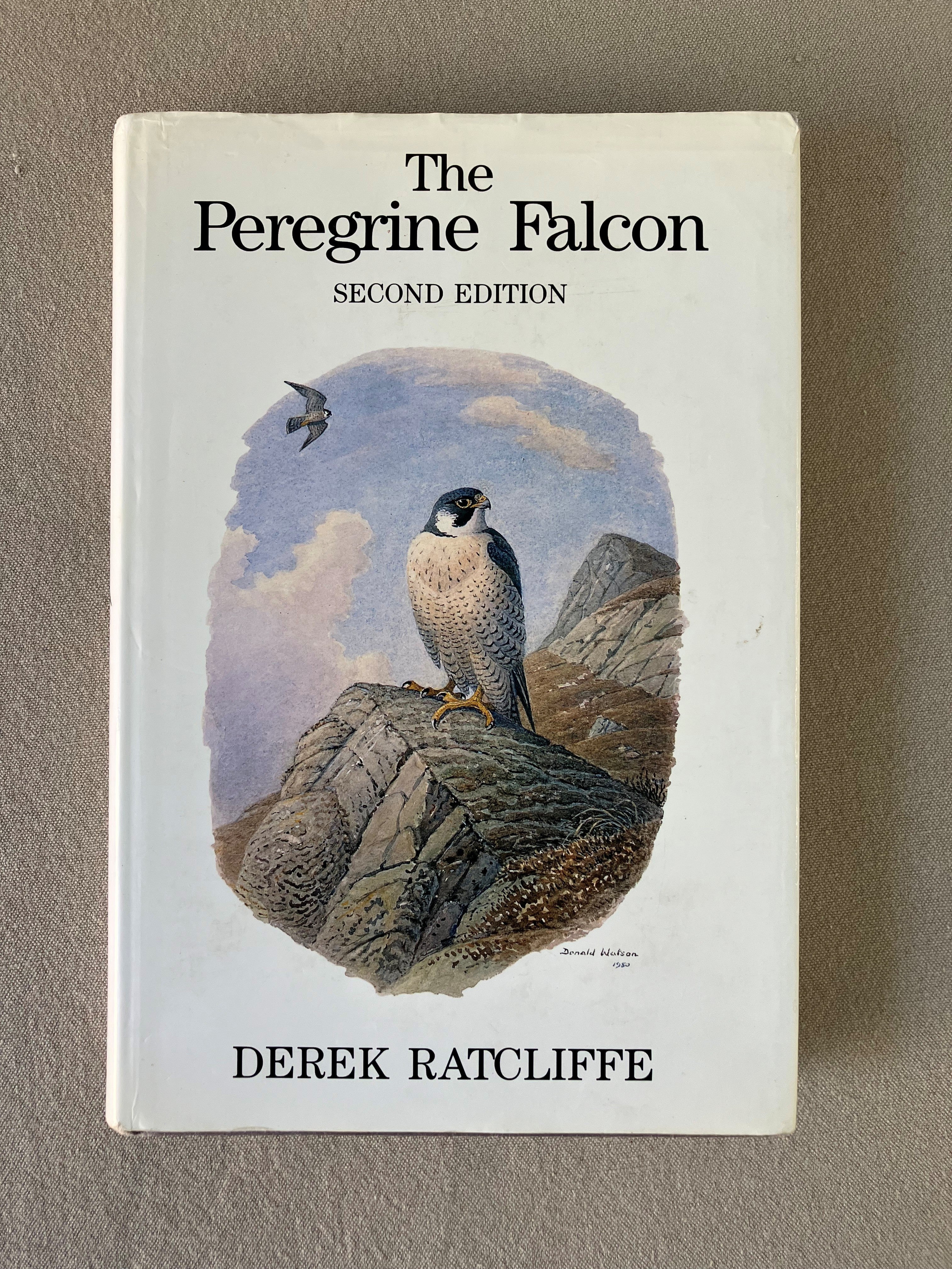 The Peregrine Falcon – Buteo Books